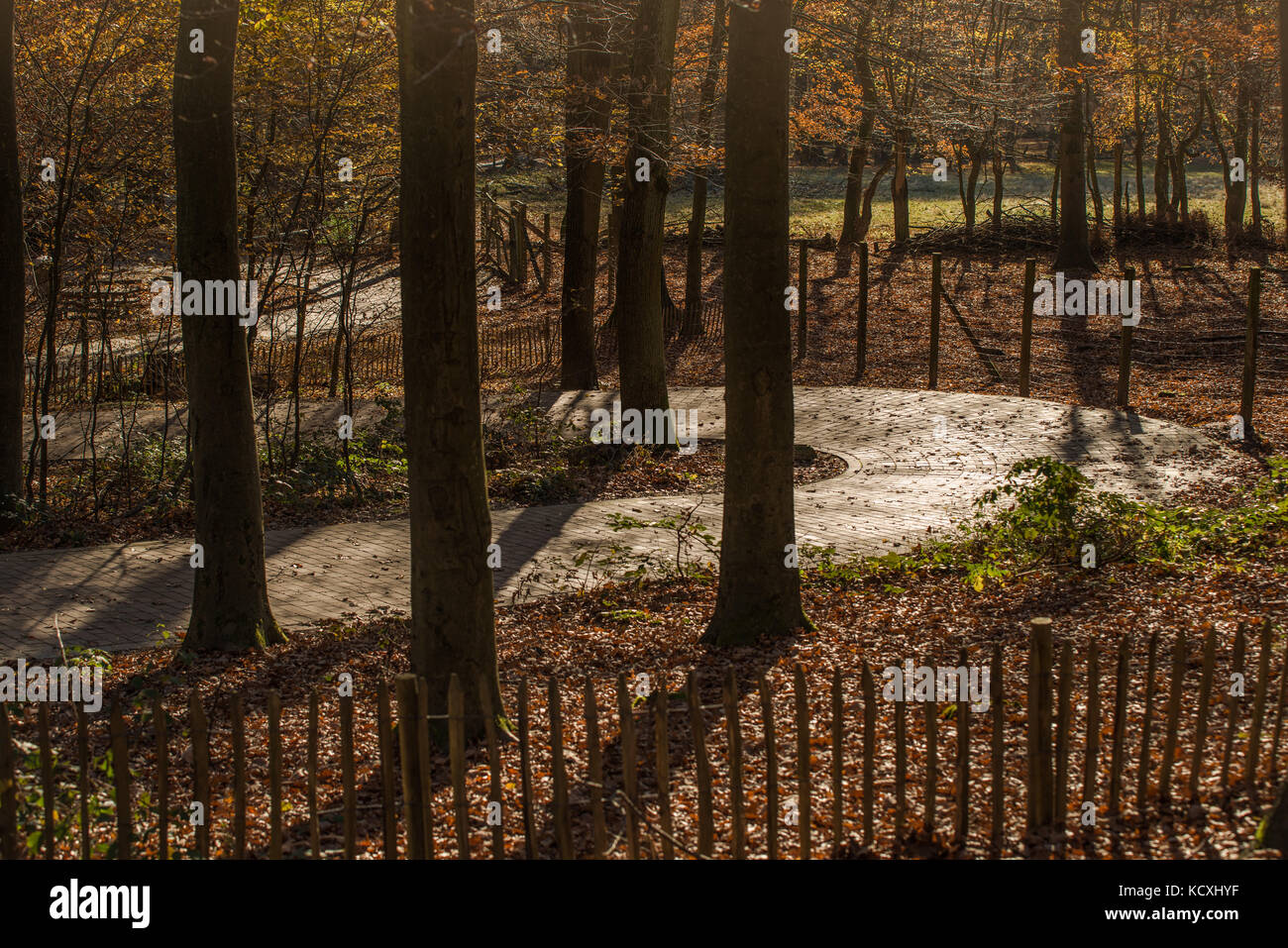 serpentine path through forrest Stock Photo - Alamy