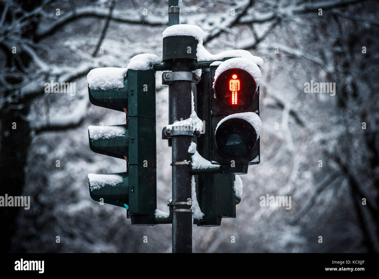 Pedestrian stop sign traffic light hi-res stock photography and images ...