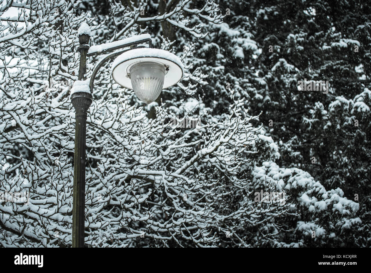 Lamp post covered in hi-res stock photography and images - Alamy