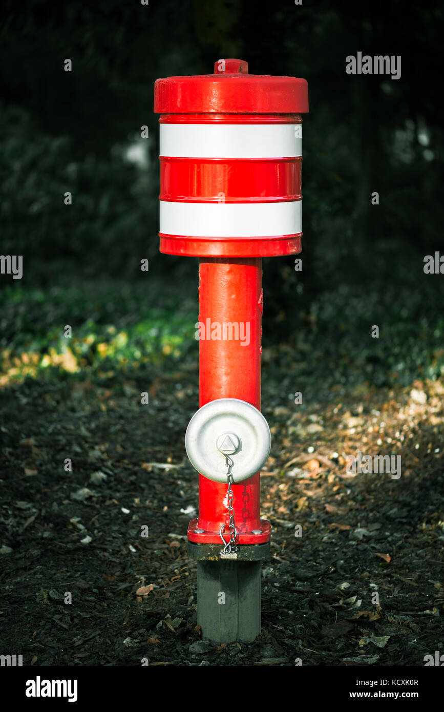 Fire hydrant red white stripes in nature Stock Photo - Alamy