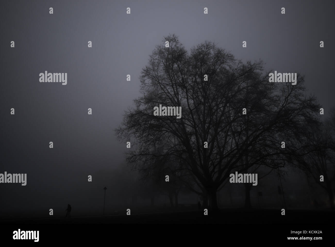 Dark fantasy scene hi-res stock photography and images - Alamy