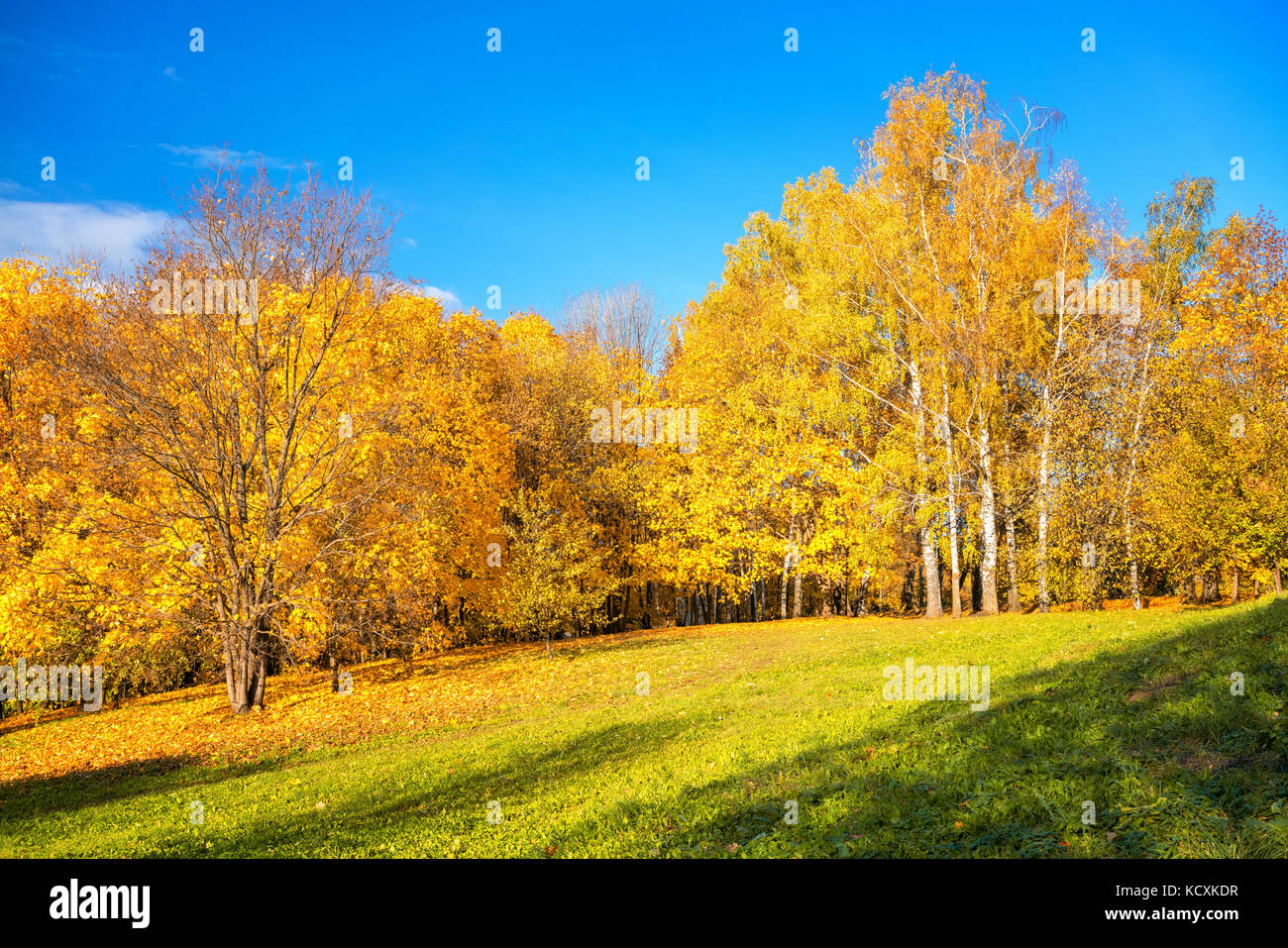 Sunny autumn in countryside Stock Photo - Alamy