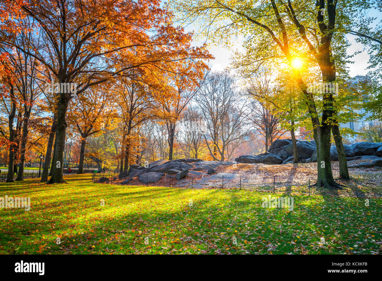 Central park morning bright hi-res stock photography and images - Alamy
