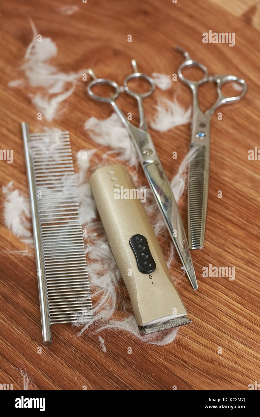 Steel comb cat hi-res stock photography and images - Alamy