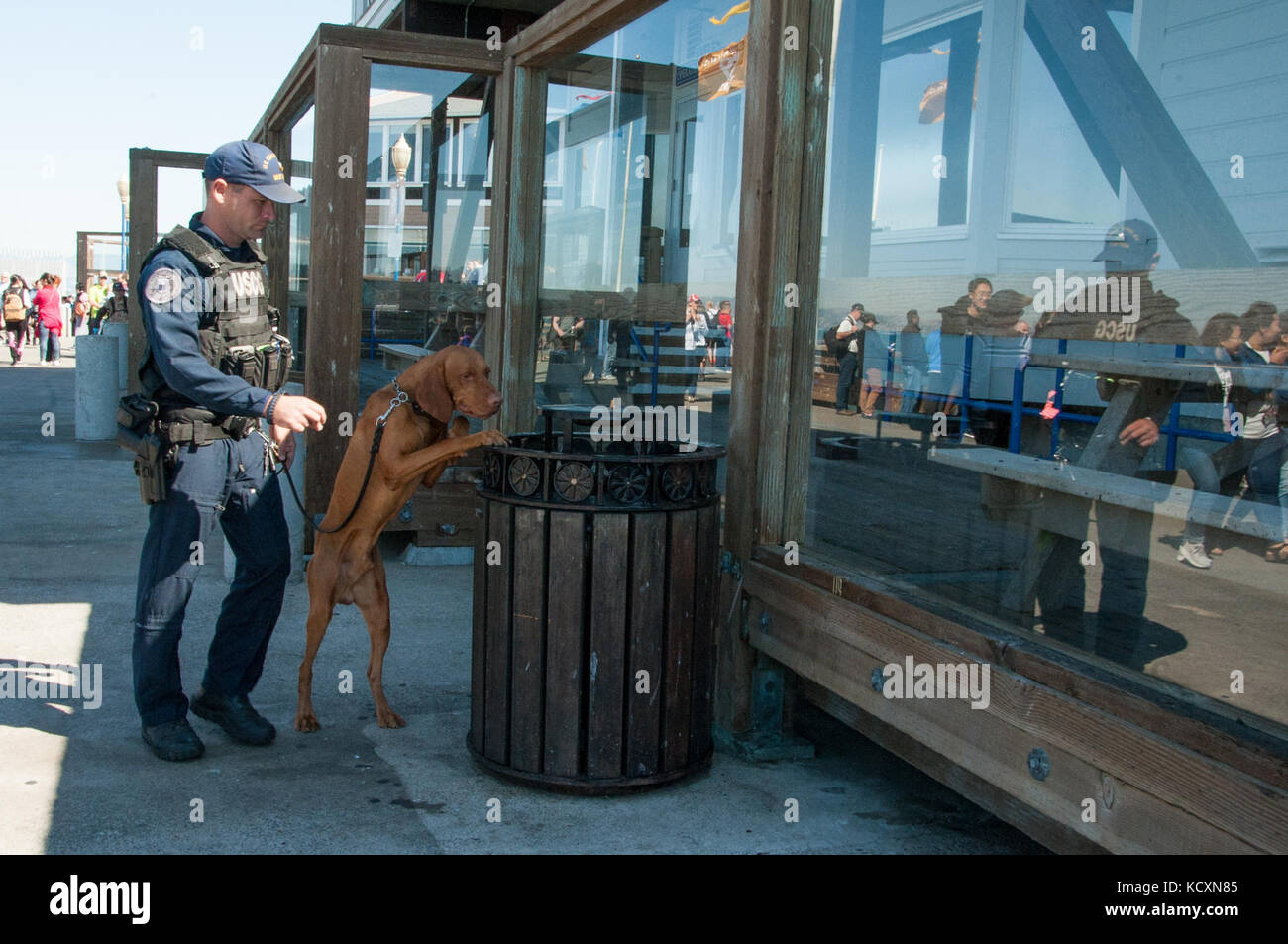 Petty Officer 1st Class Cory Sumner guides Feco, a bomb-detection dog ...