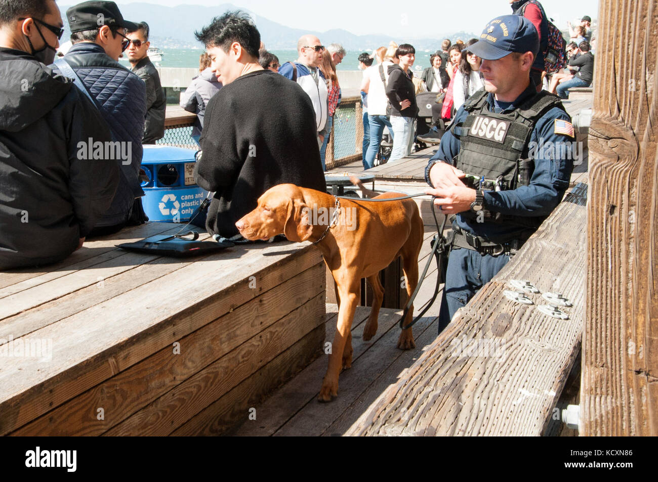 Petty Officer 1st Class Cory Sumner guides Feco, a bomb-detection dog ...