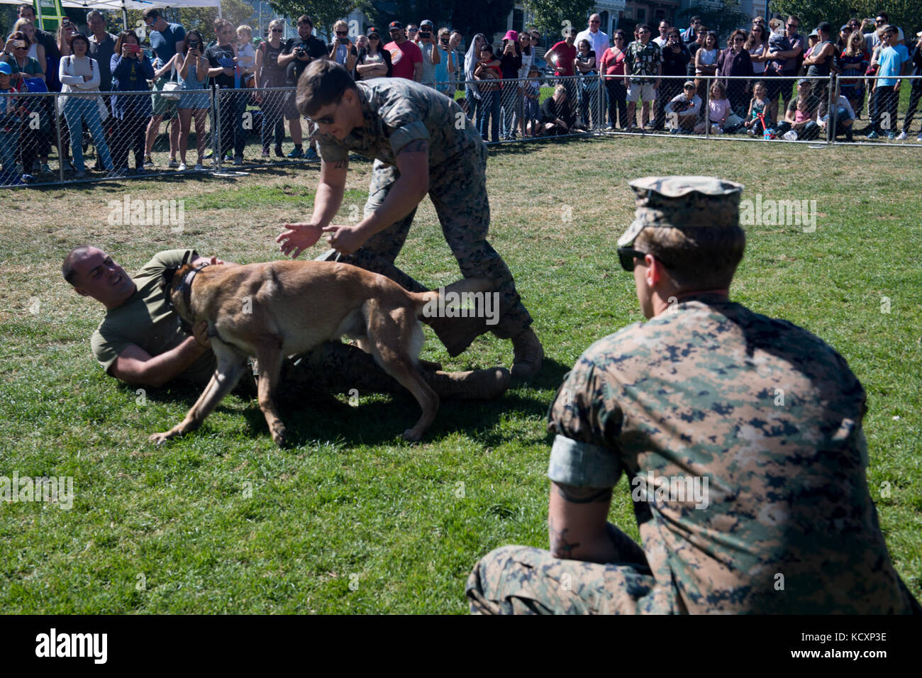 First responder dog hi-res stock photography and images - Alamy