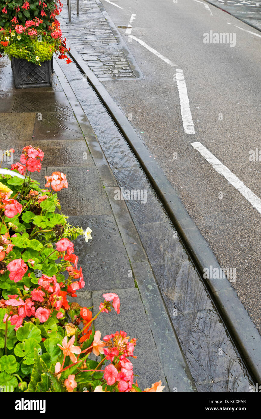 WELLS SOMERSET ENGLAND RILL OR DRAIN FULL OF PERMANENT WATER FROM THE ...