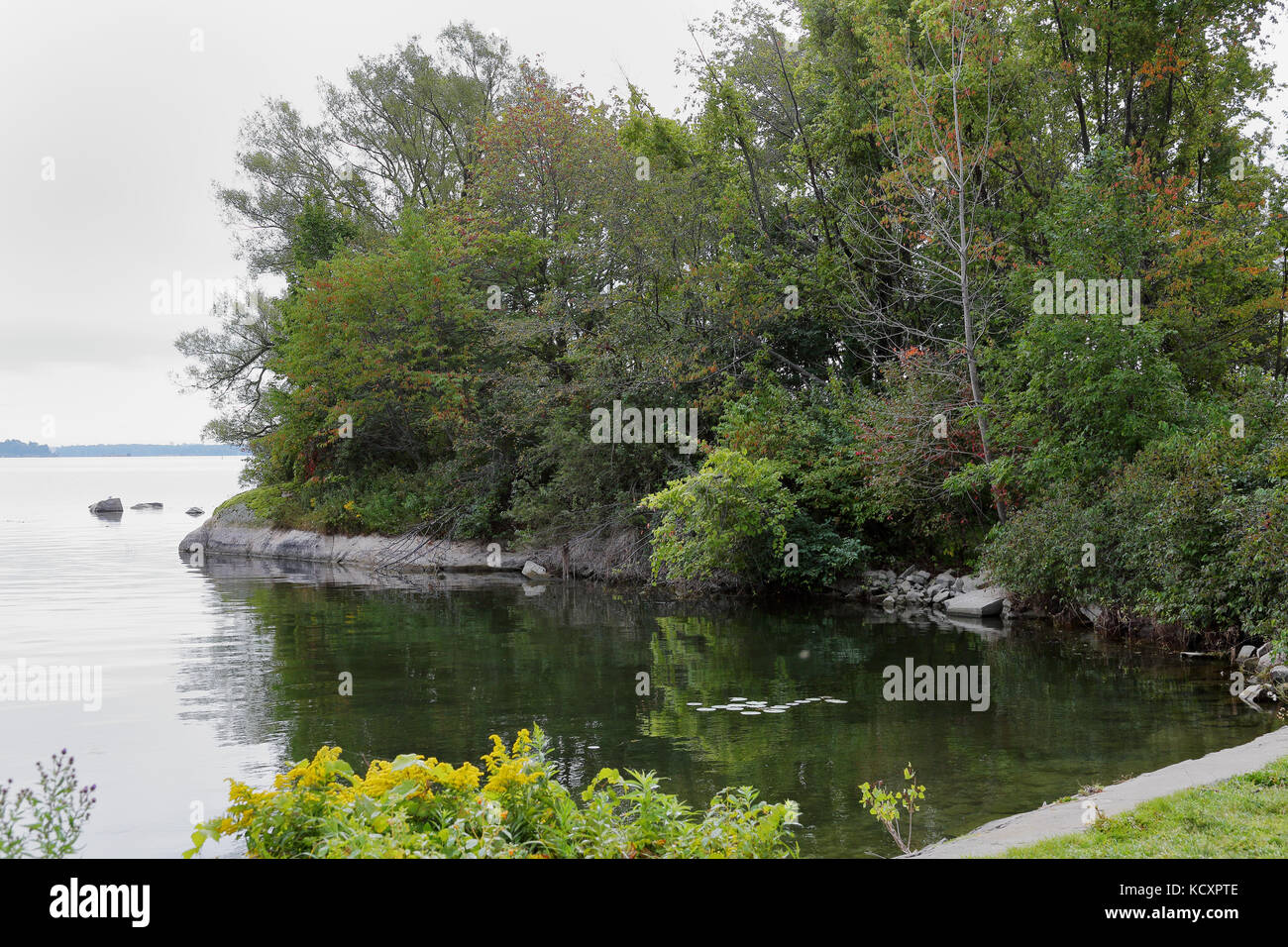 Trees rocks on the shore of a bay along the St Lawrence River at the ...
