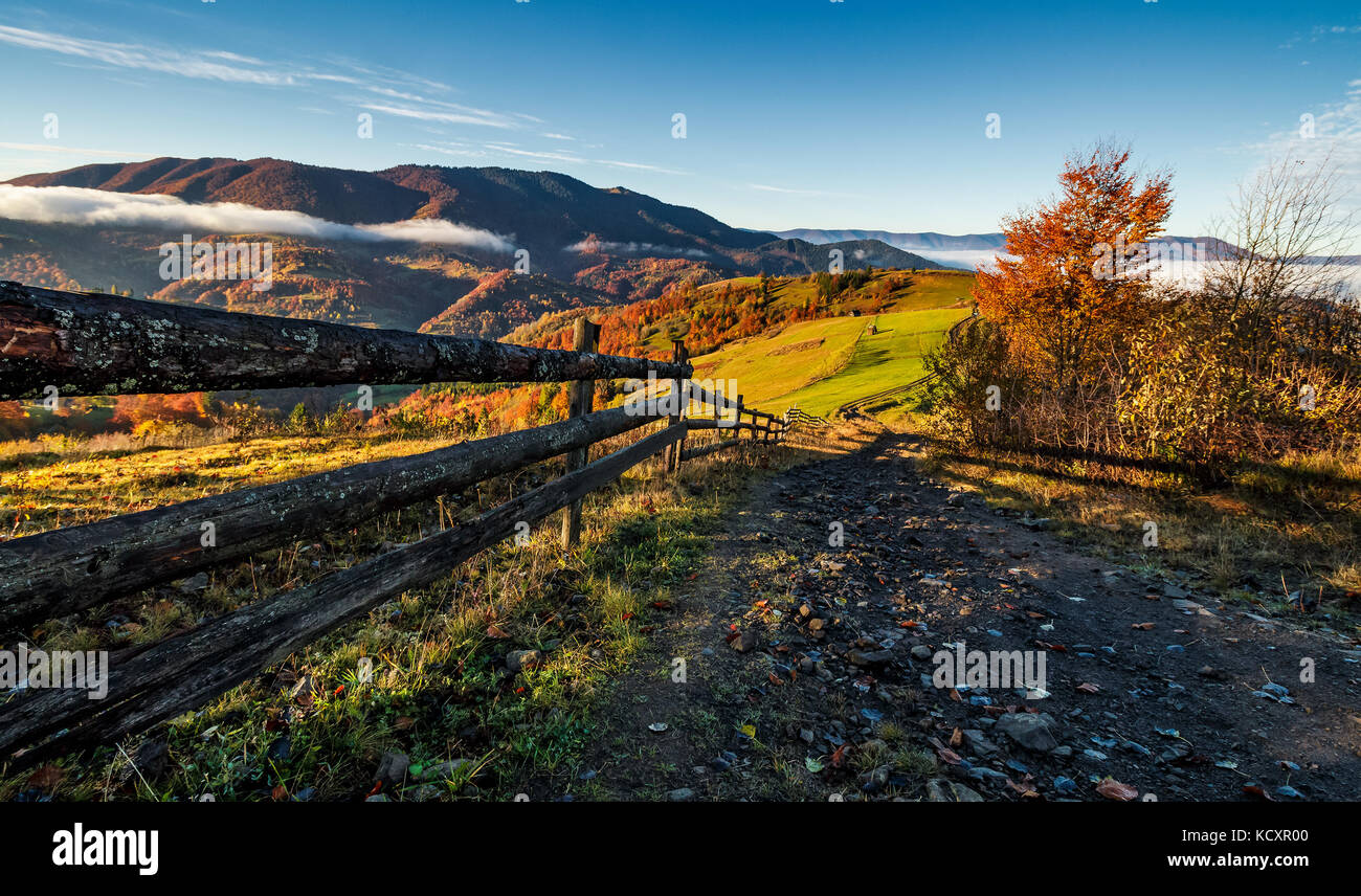 gorgeous foggy morning in mountainous countryside. beautiful landscape ...