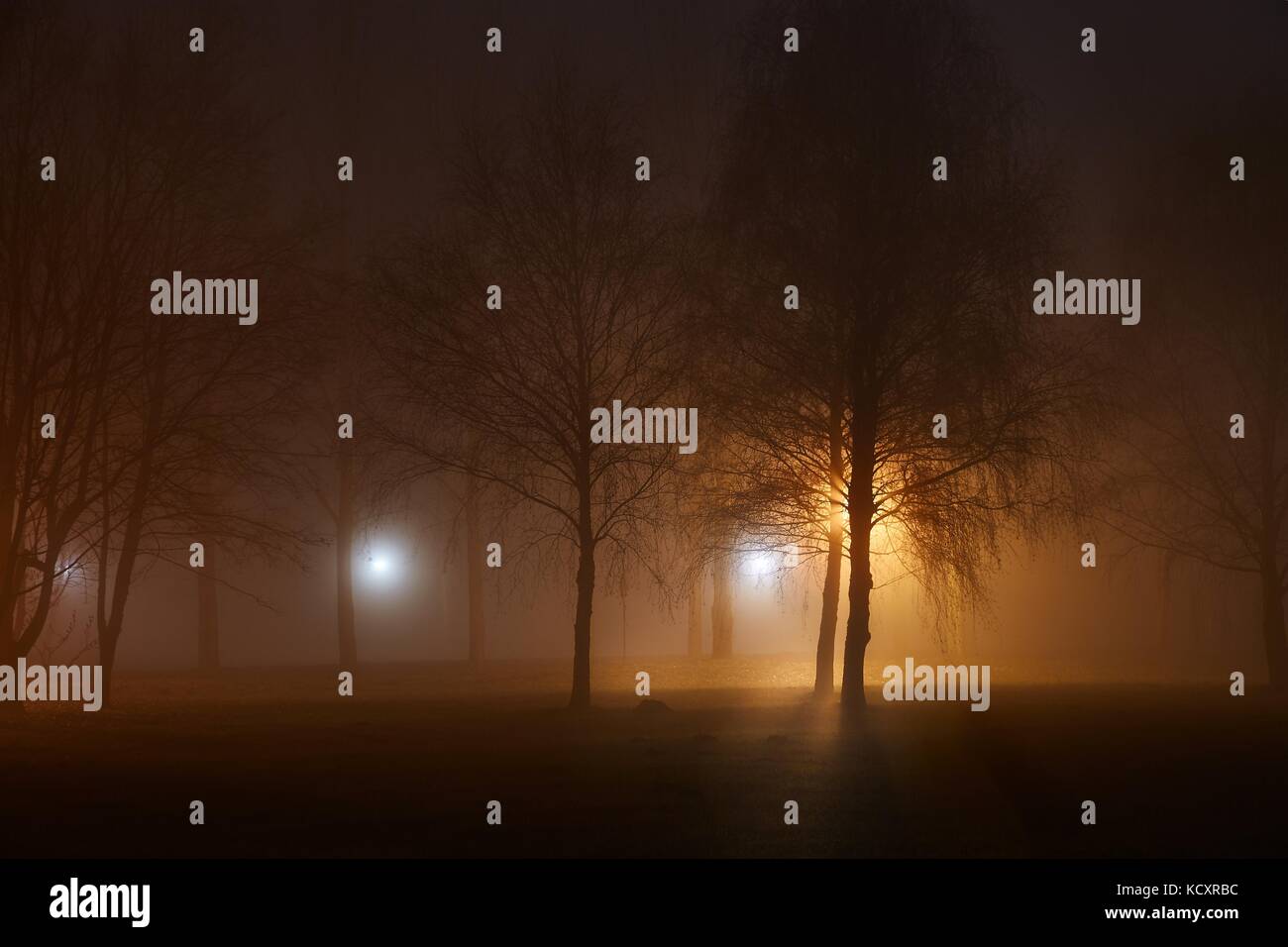 Foggy Mysterious Night Stock Photo - Alamy