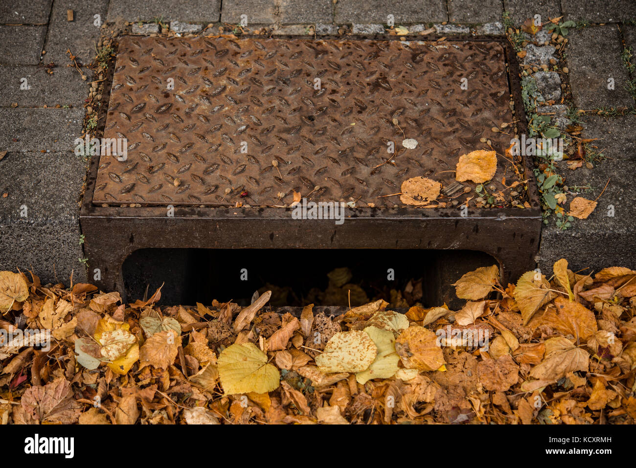 Drainage gully hi-res stock photography and images - Alamy