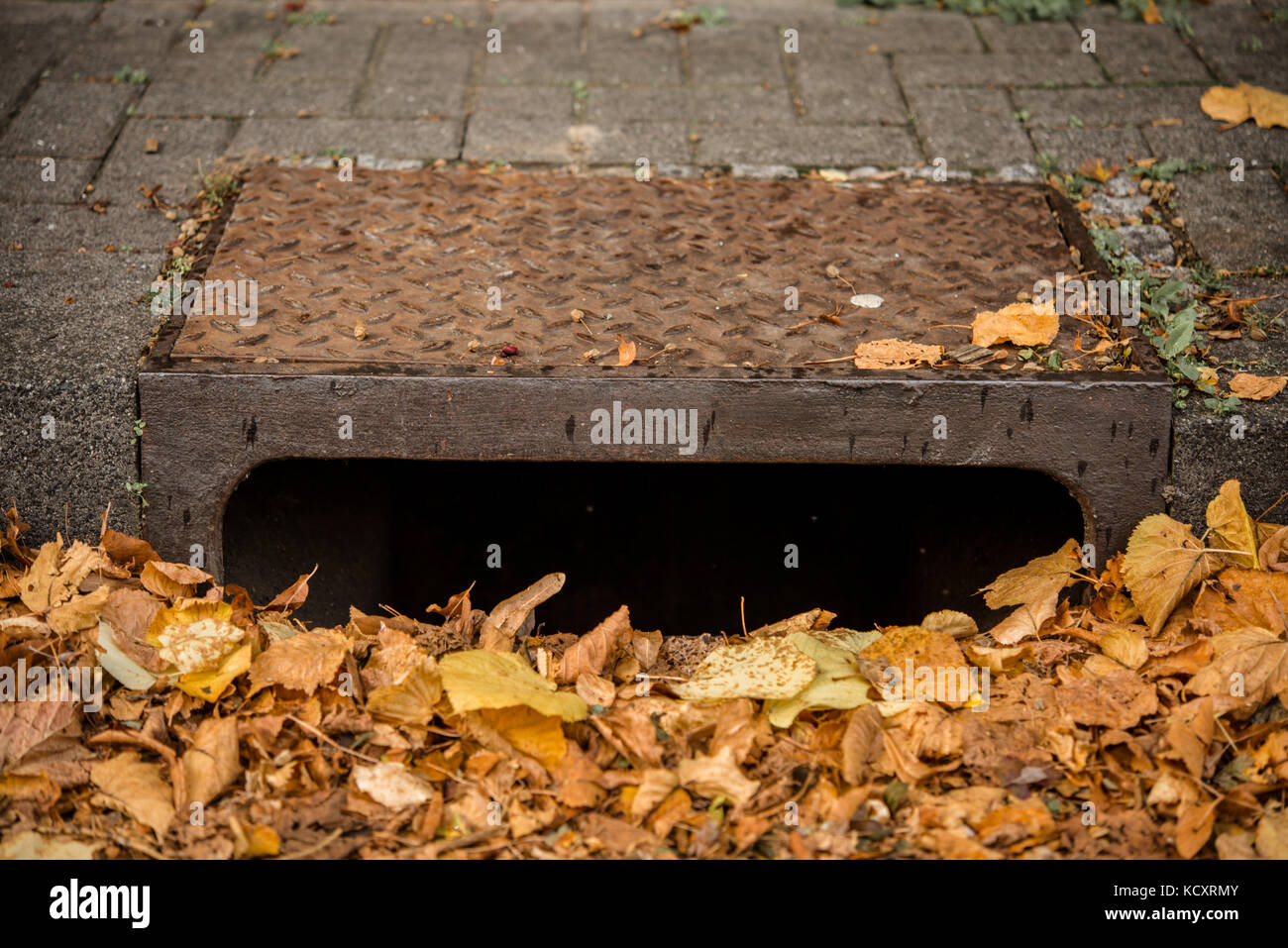 Drainage gully hi-res stock photography and images - Alamy
