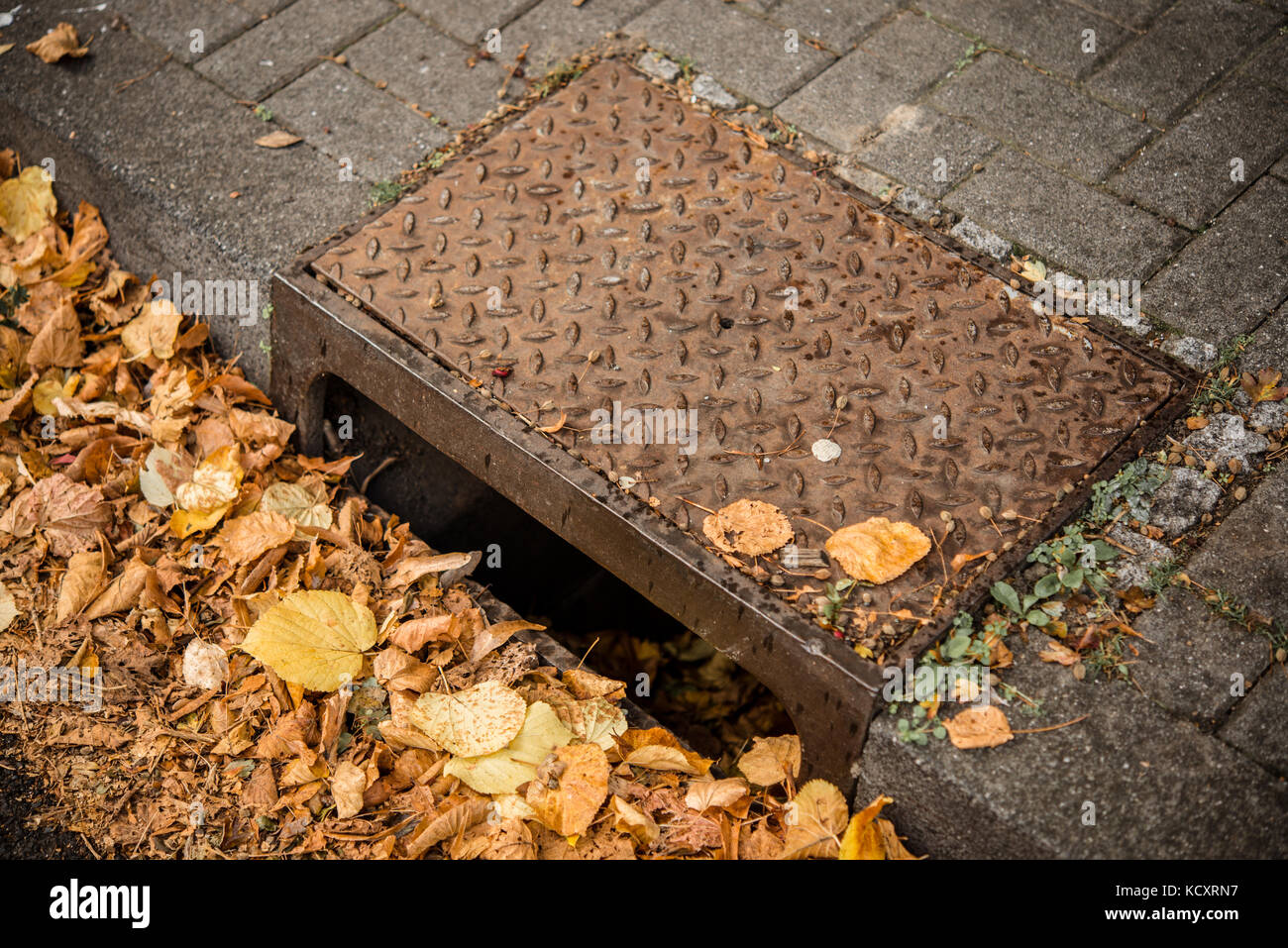 Drainage gully hi-res stock photography and images - Alamy