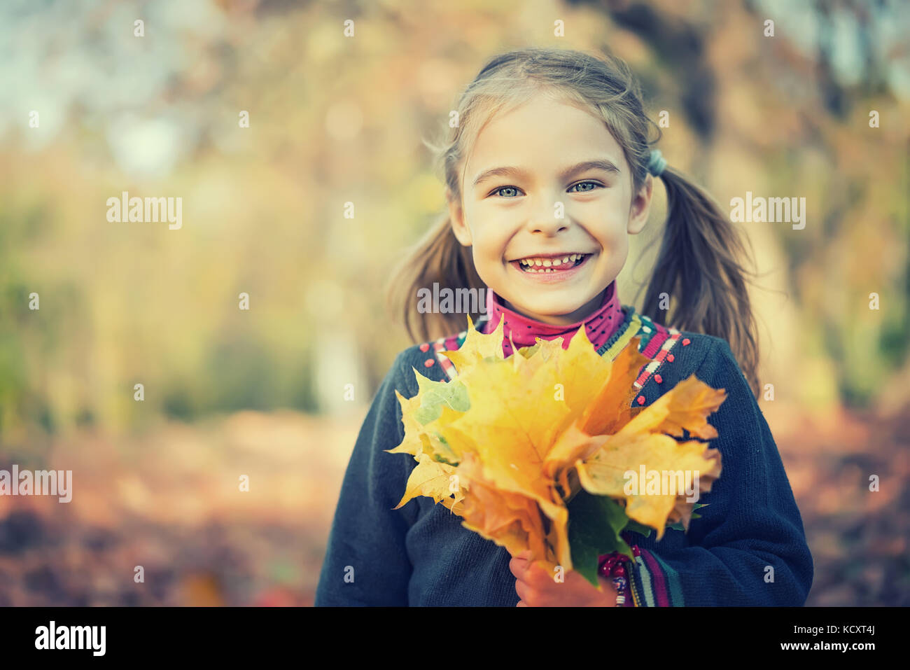 Happy little girl with autumn leaves Stock Photo - Alamy
