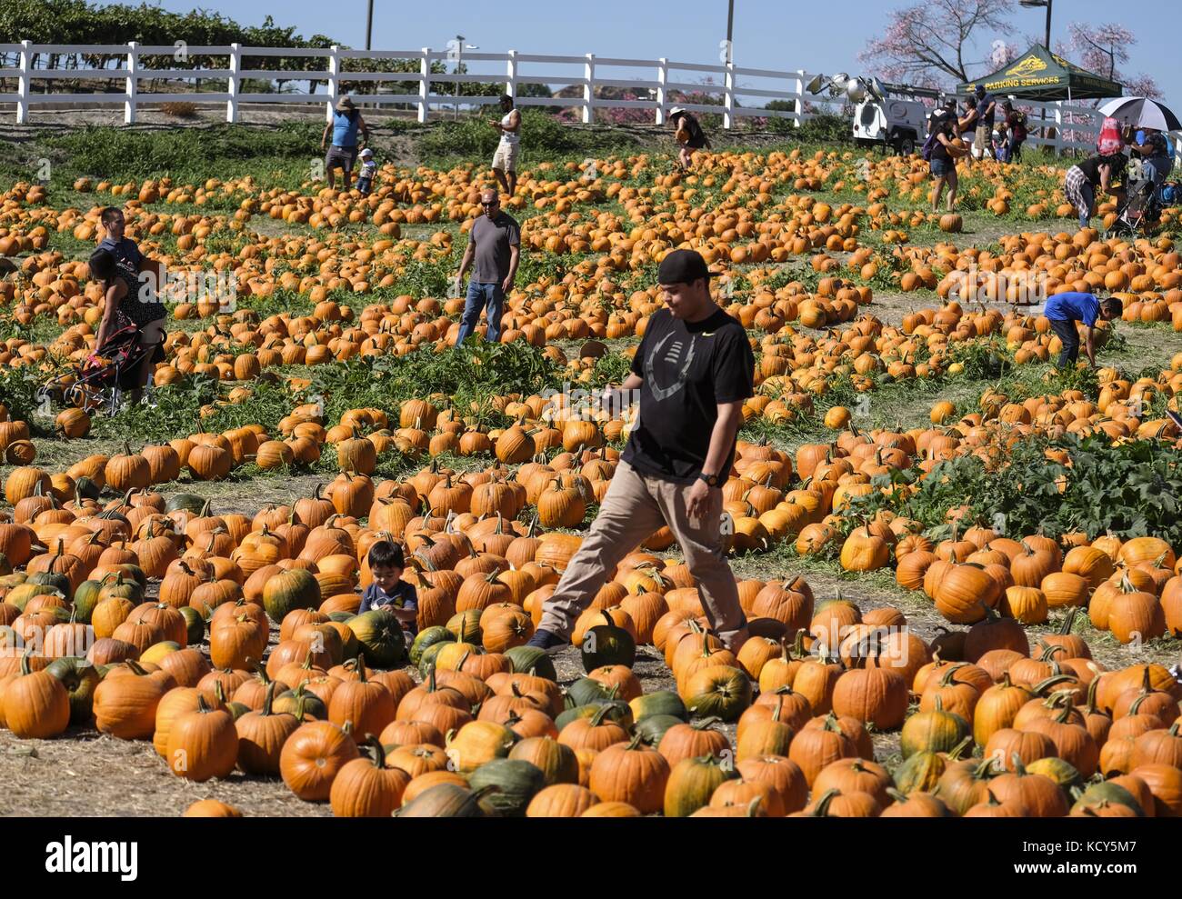 20171008rc pumpkin019 jpg hi-res stock photography and images - Alamy
