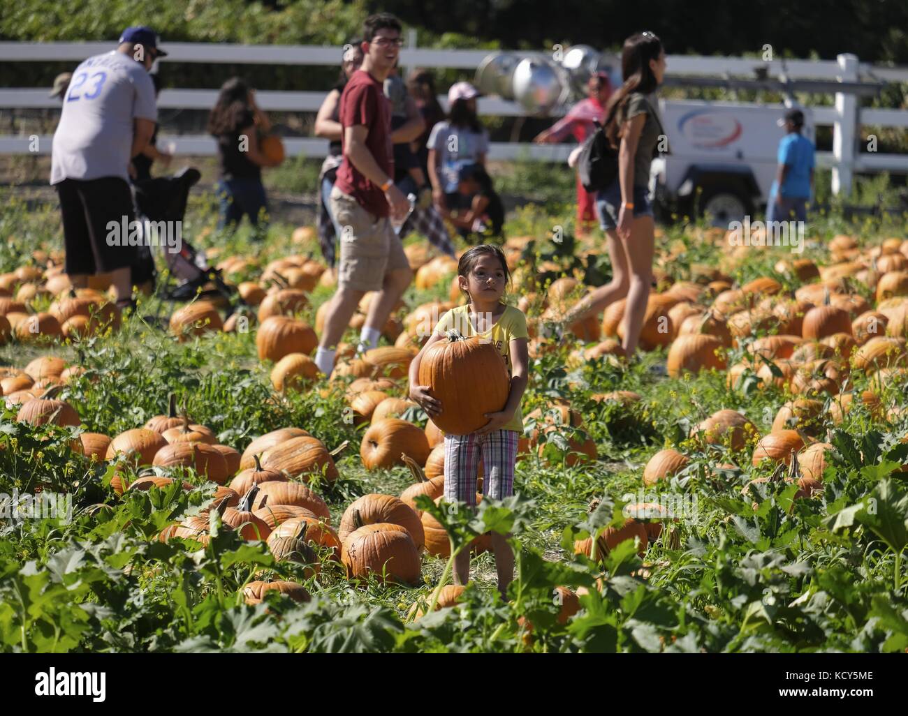 Los Angeles, California, USA. 7th Oct, 2017. People pick their pumpkins ...