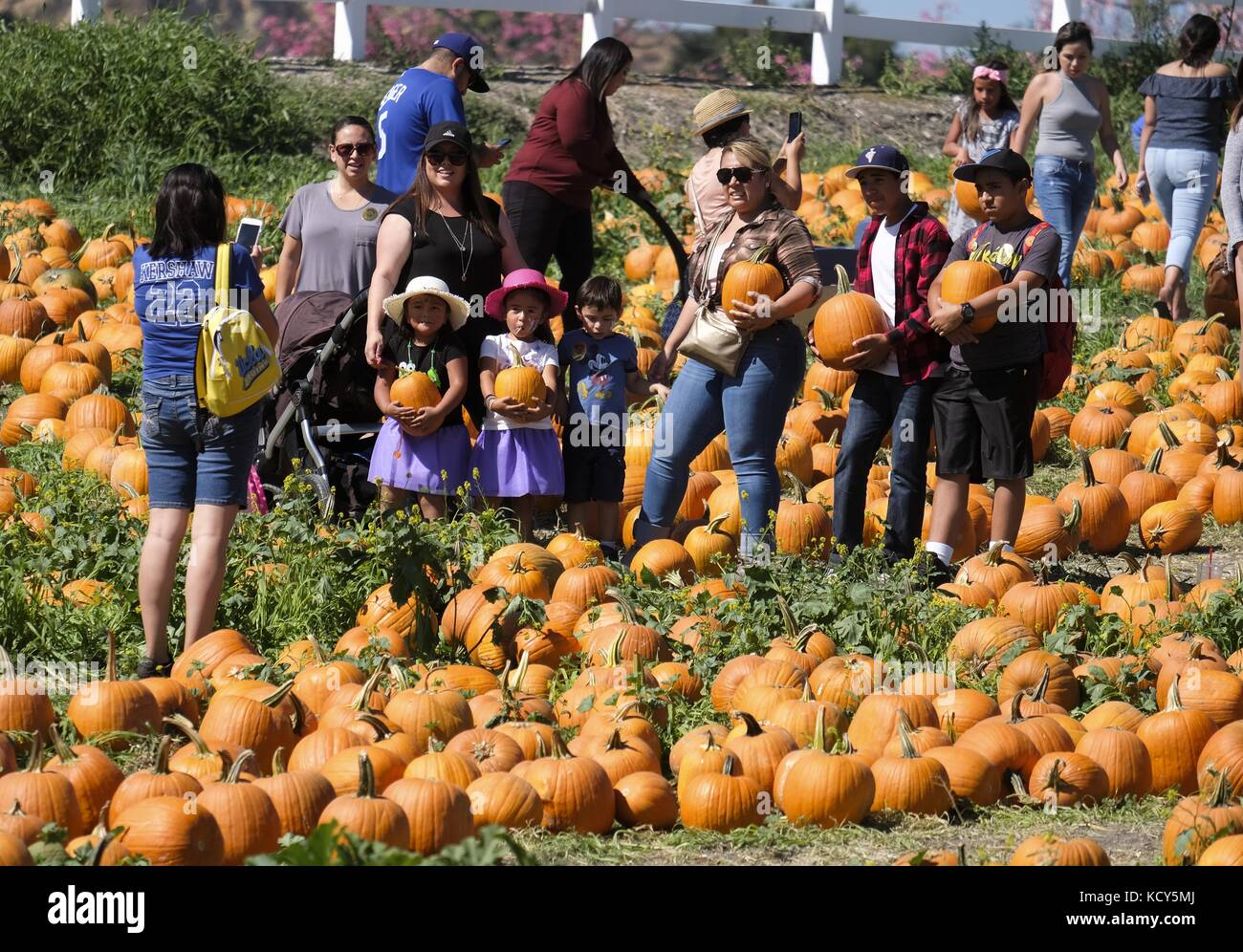 Cal poly pomona hi-res stock photography and images - Alamy