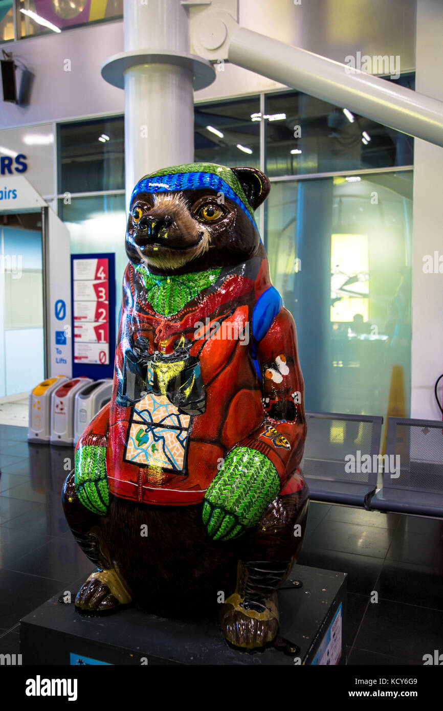 Sleuth of bears hi-res stock photography and images - Alamy