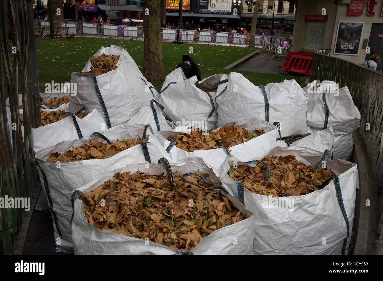 Rubble sacs full of brown leaves in Leicester Square Stock Photo - Alamy