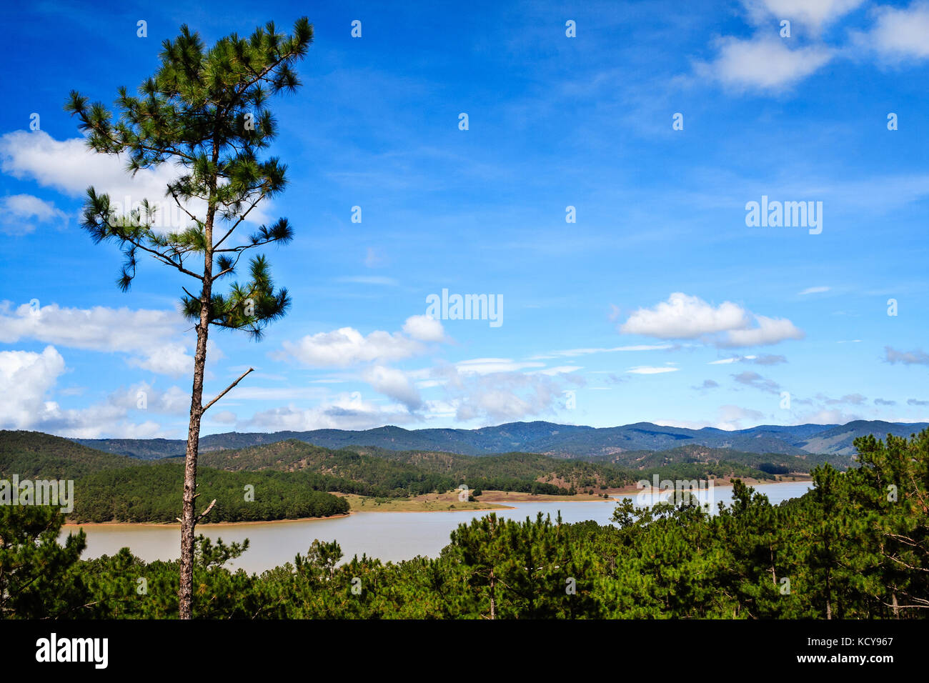 Golden Valley in Dalat, Lam Dong province, Vietnam. Fresh air, pine ...