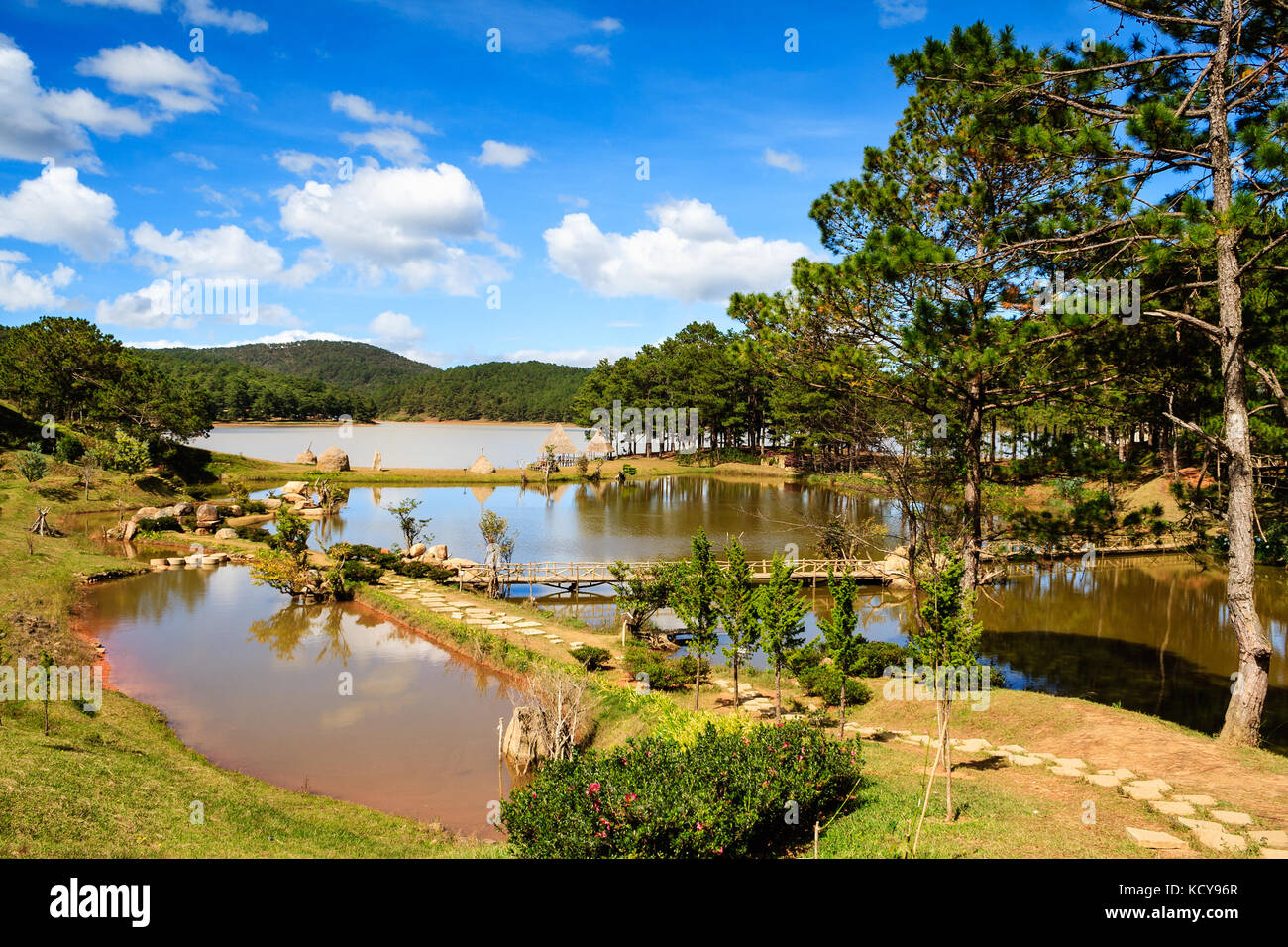 Golden Valley in Dalat, Lam Dong province, Vietnam. Fresh air, pine ...