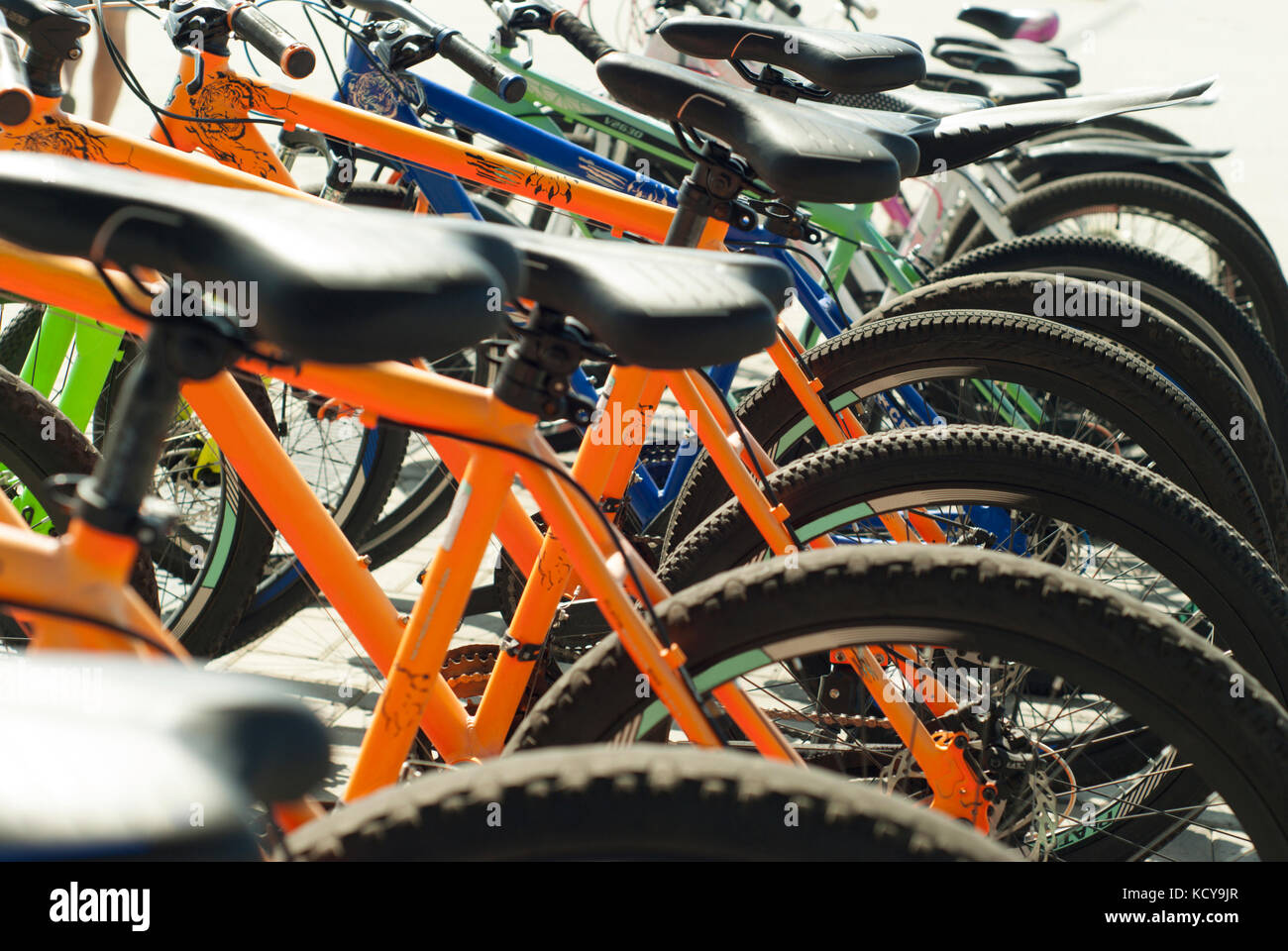 Multicolored mountain bikes standing in a row Stock Photo - Alamy