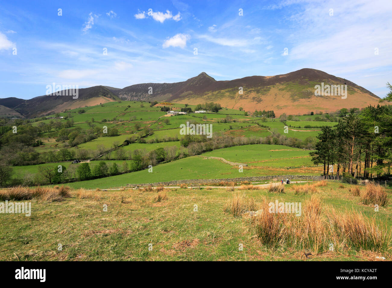 Summer, Causey Pike fell, The Newlands valley, Lake District National ...