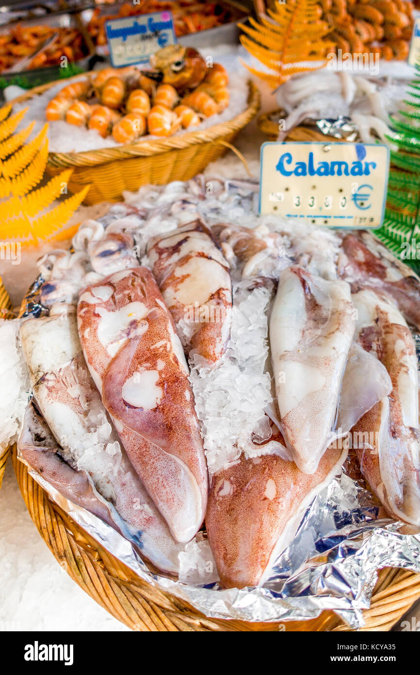 Calamari tubes hi-res stock photography and images - Alamy