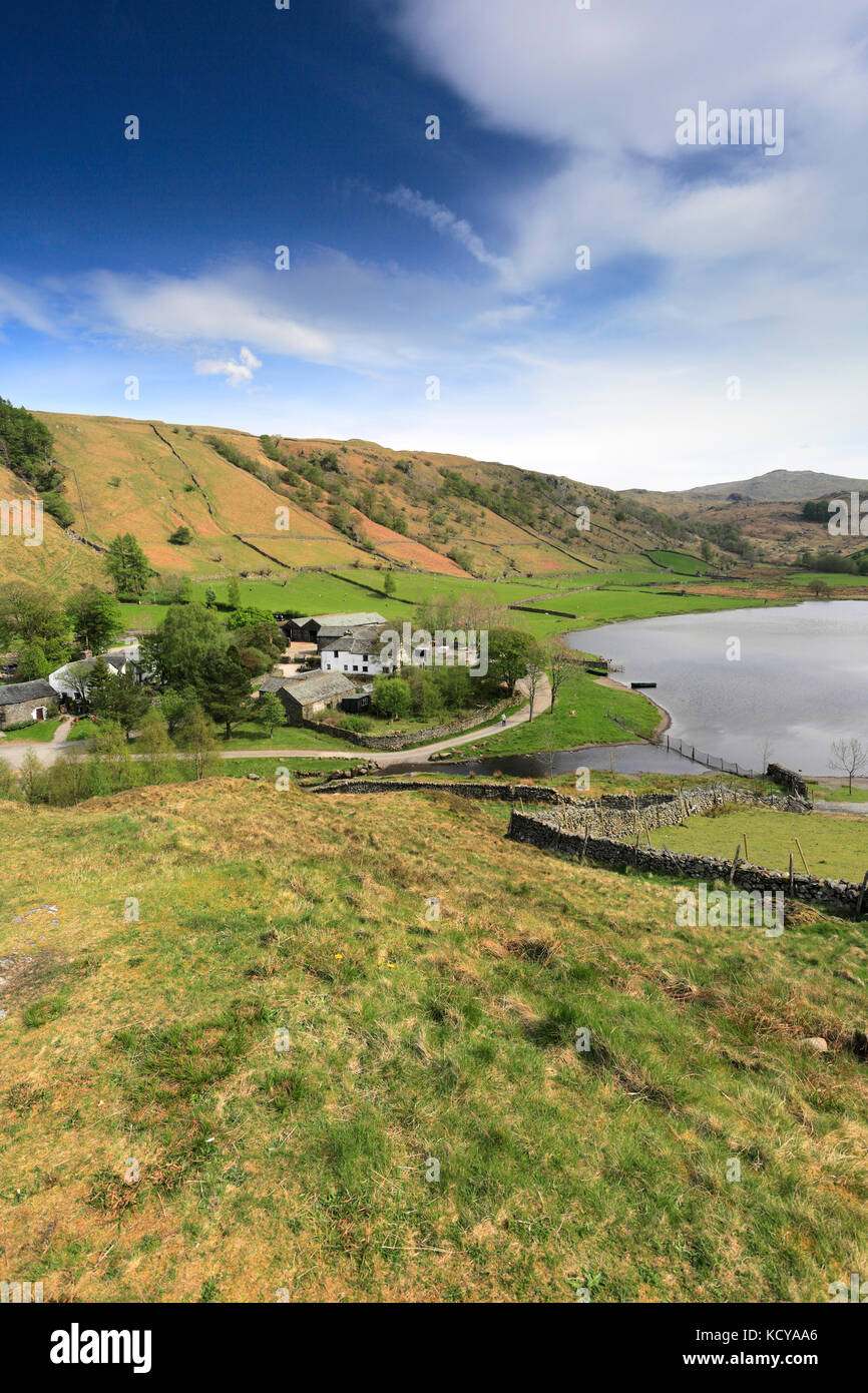 Summer view over Watendlath Tarn, Lake District National Park, Cumbria ...