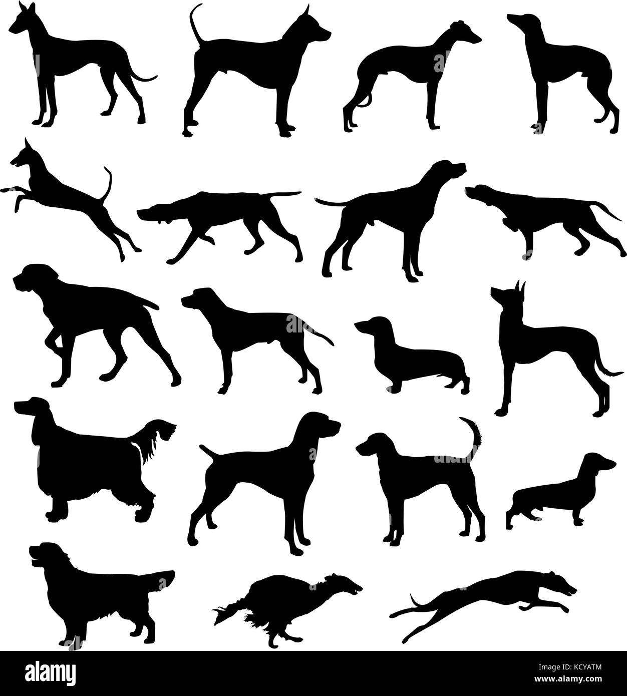 Set of silhouettes of hunting dogs in point and motion Stock Vector ...