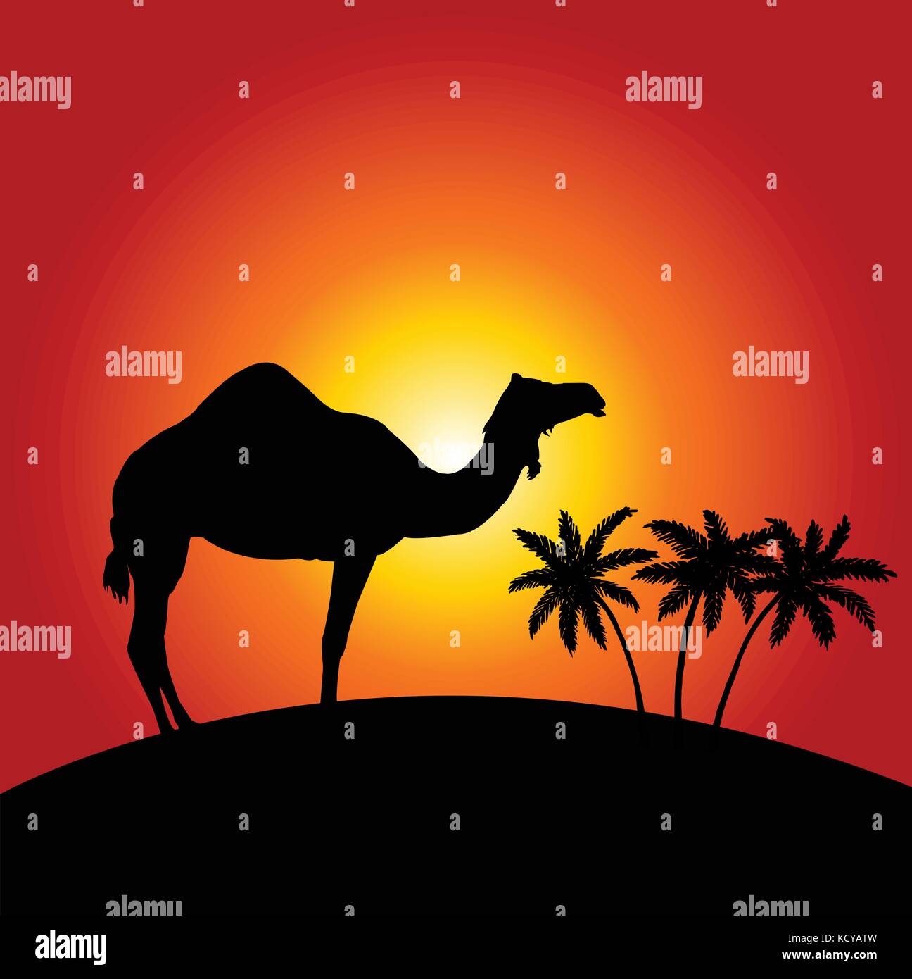 Silhouette of camel on the sunset background Stock Vector Image & Art ...