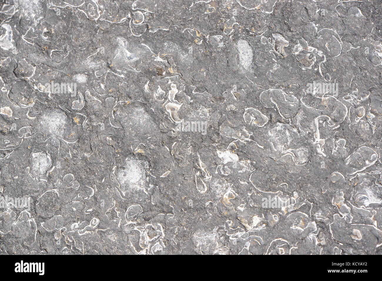 Textures on stone, UK Stock Photo - Alamy