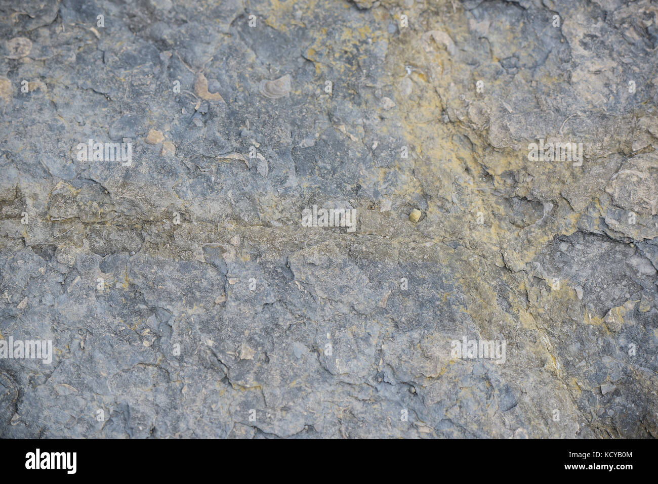 Textures on stone, UK Stock Photo - Alamy