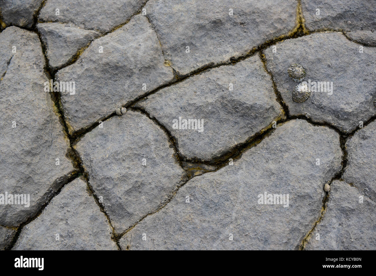 Cracked Rock Formations, UK Stock Photo - Alamy