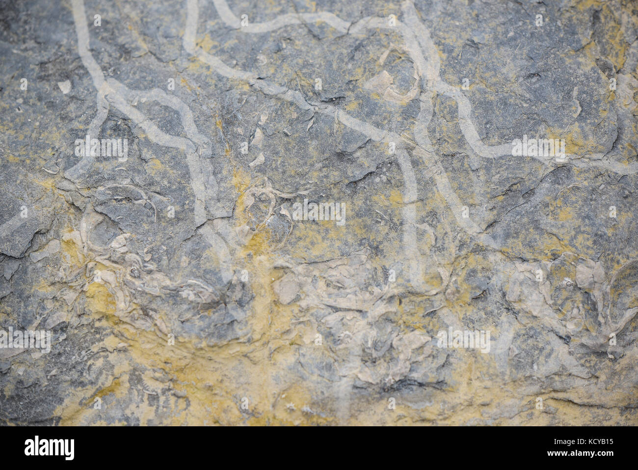 Textures on stone, UK Stock Photo - Alamy