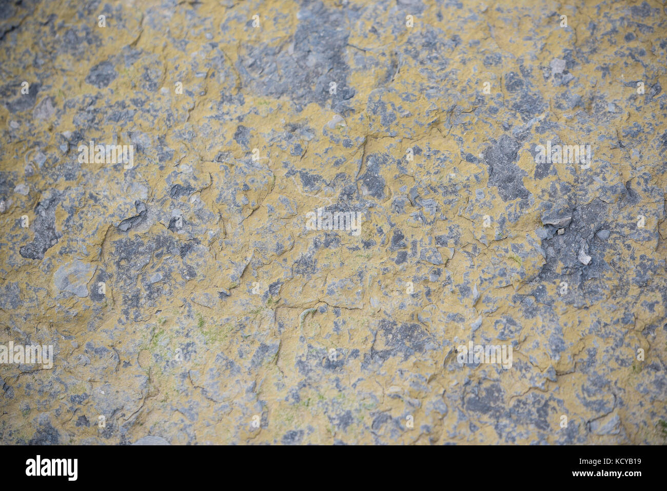 Textures on stone, UK Stock Photo - Alamy