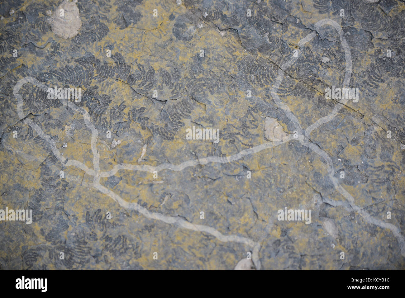 Textures on stone, UK Stock Photo - Alamy