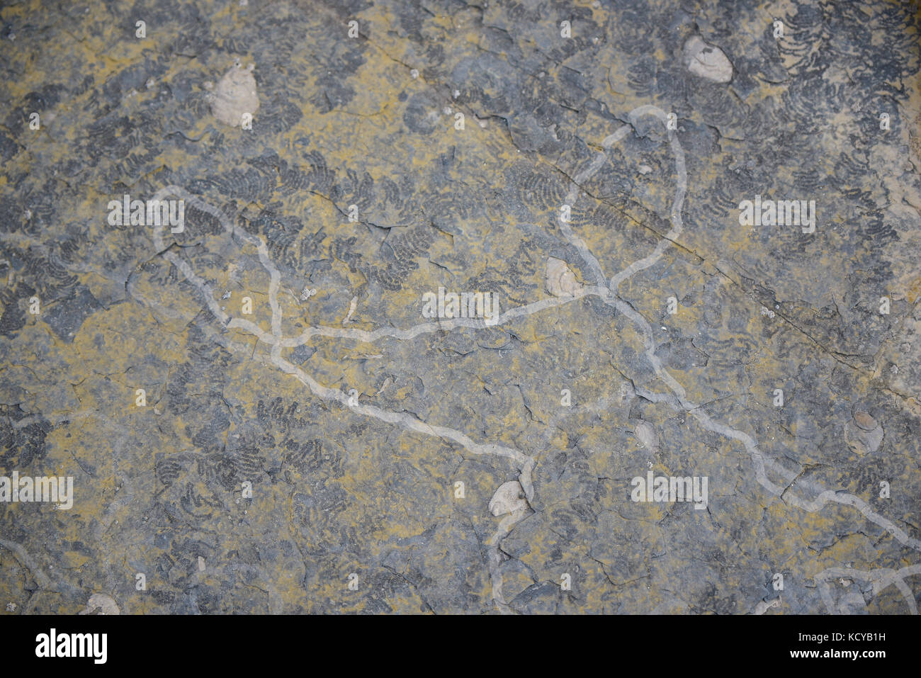 Textures on stone, UK Stock Photo - Alamy