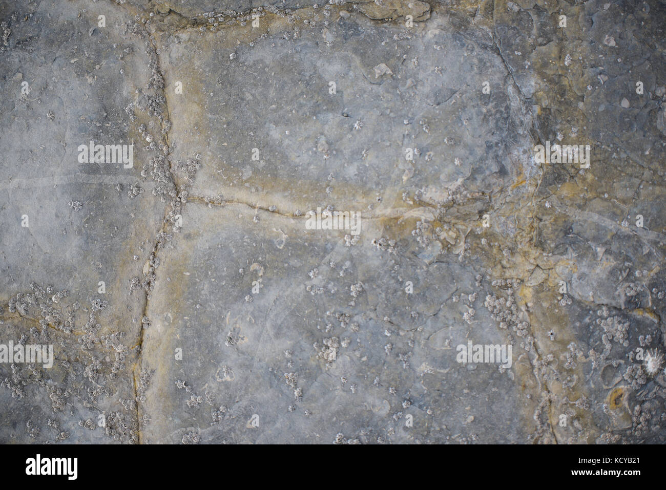 Cracked Rock Formations, UK Stock Photo - Alamy