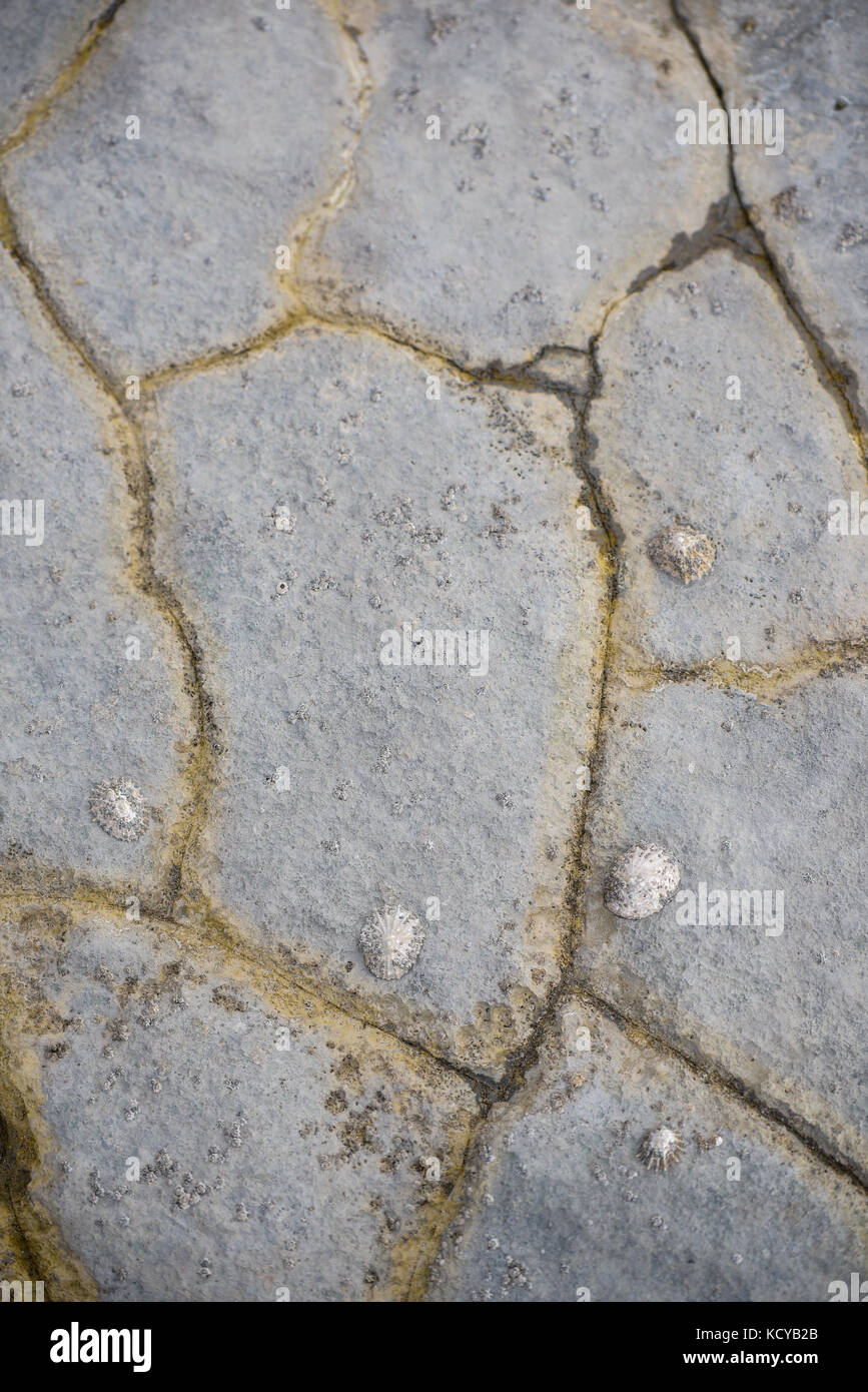 Cracked Rock Formations, UK Stock Photo - Alamy