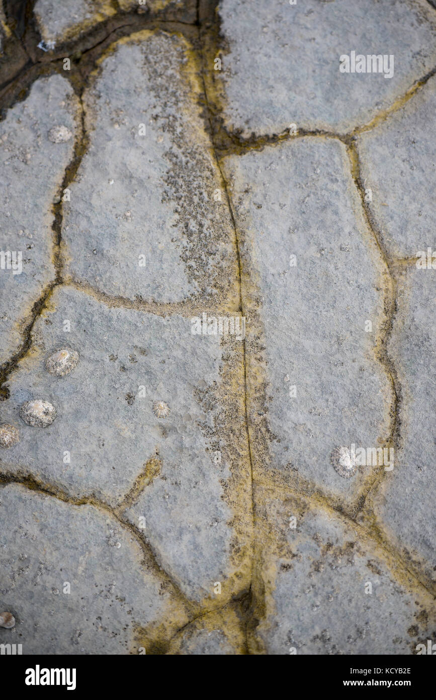 Cracked Rock Formations, UK Stock Photo - Alamy