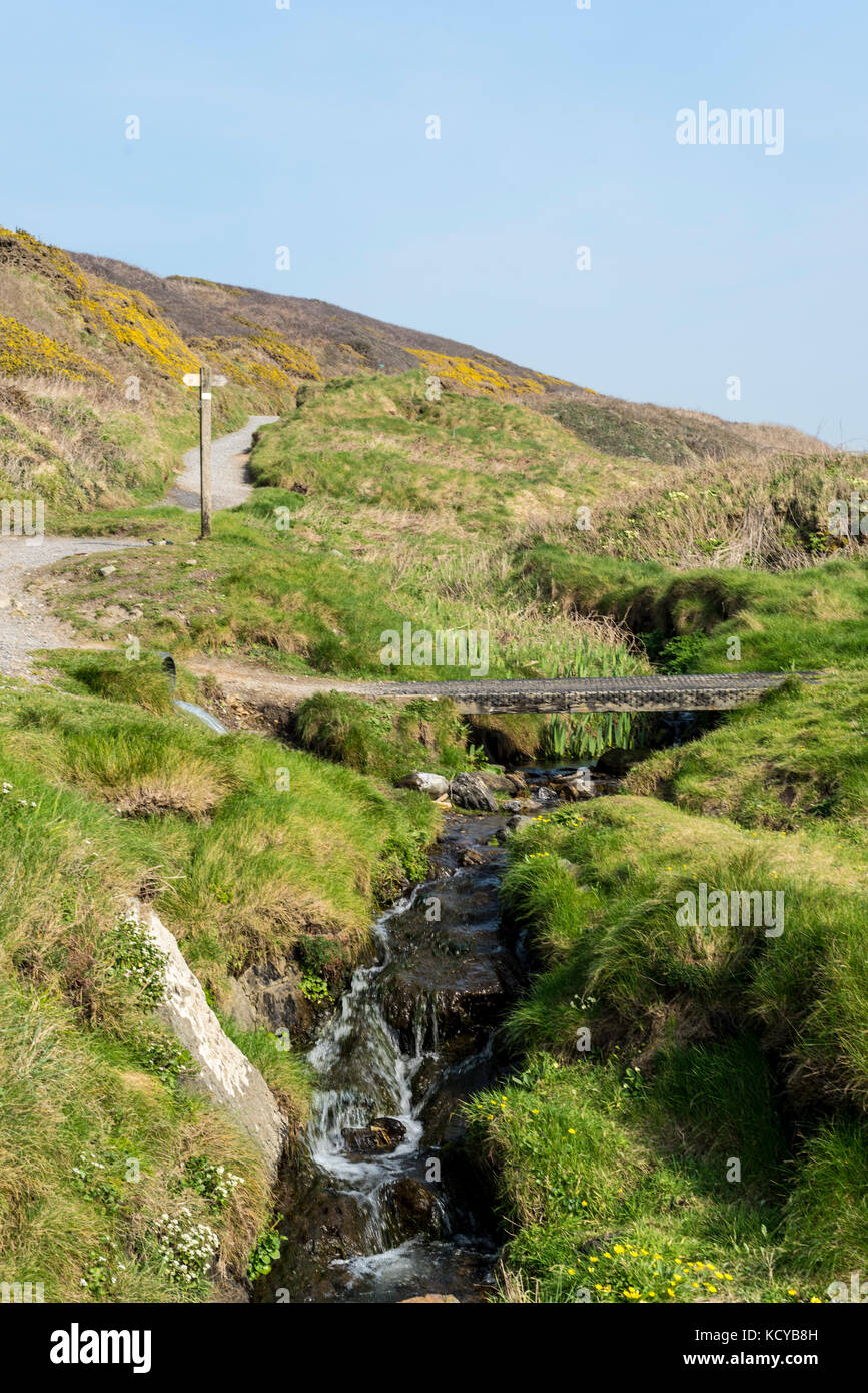 Coastal Footpath, Pembrokeshire ,UK Stock Photo - Alamy