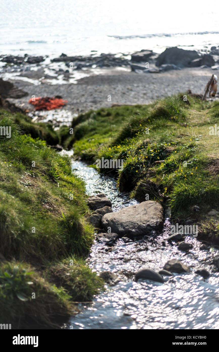 A small stream flowing to the ocean, Pembrokeshire , UK Stock Photo - Alamy