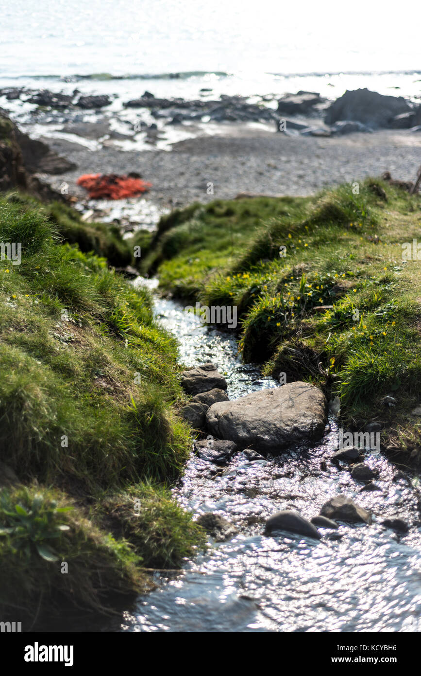 A small stream flowing to the ocean, Pembrokeshire , UK Stock Photo - Alamy