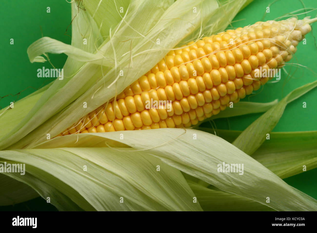 Yellow corn meal, fresh maize Stock Photo - Alamy