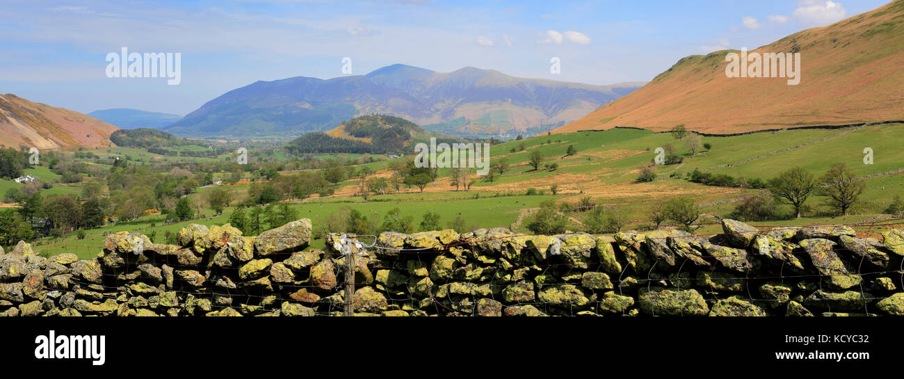Summer, The Newlands valley, Lake District National Park, Cumbria ...