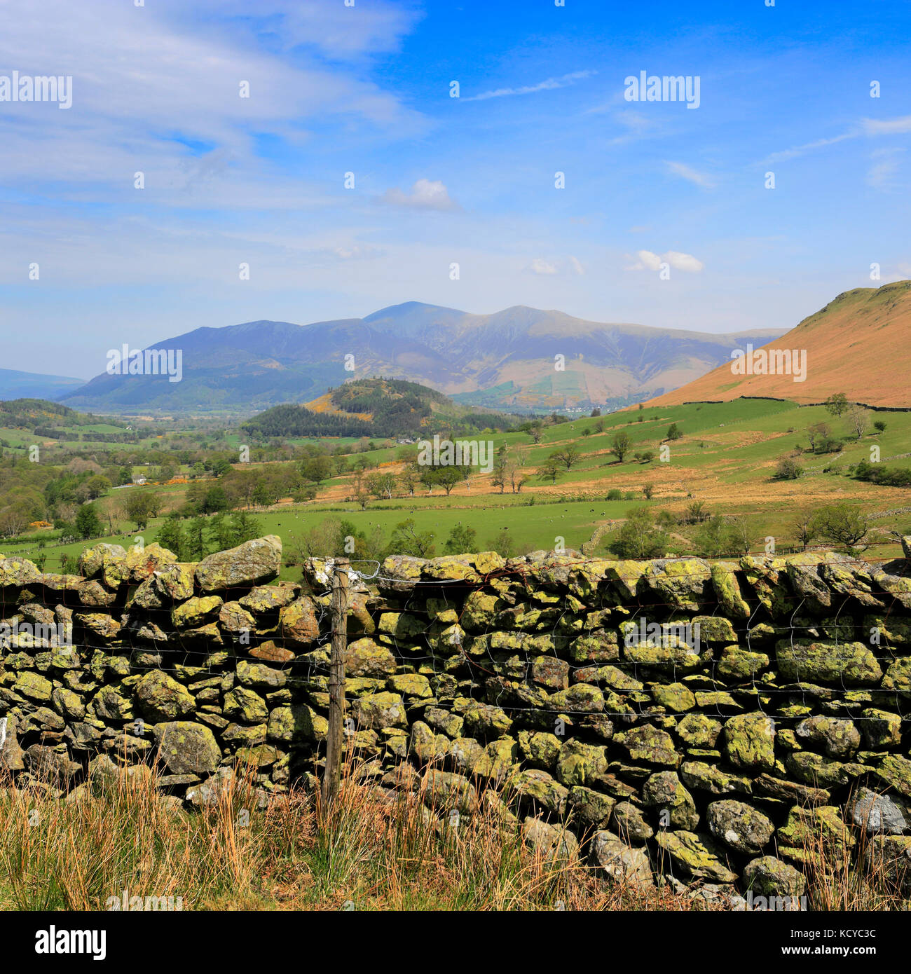 Summer, The Newlands valley, Lake District National Park, Cumbria ...