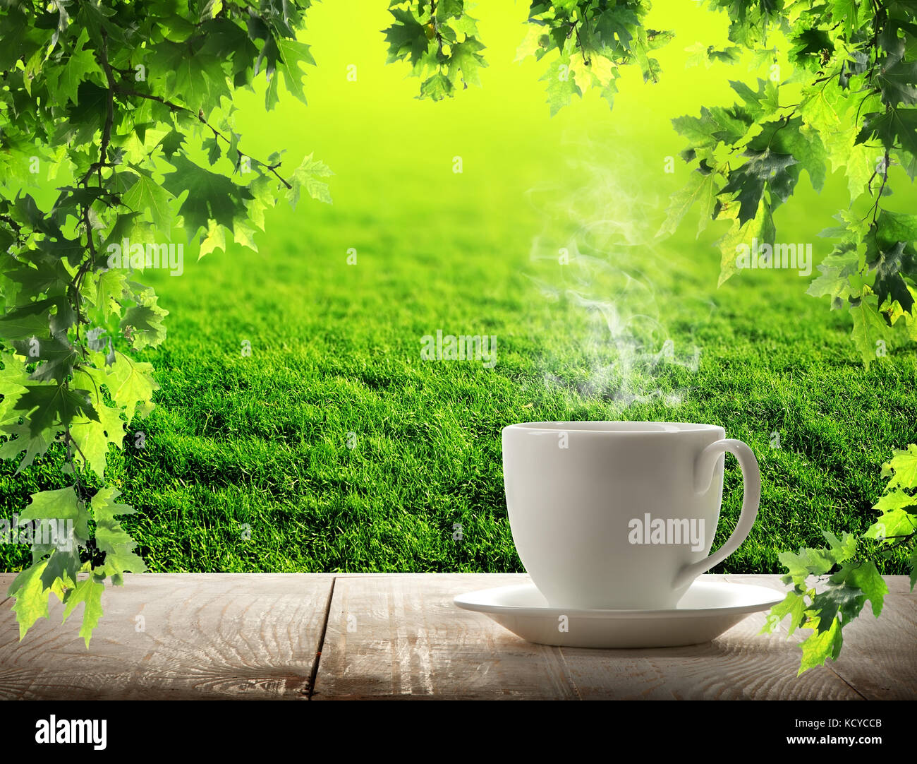Sunny trees background hi-res stock photography and images - Alamy