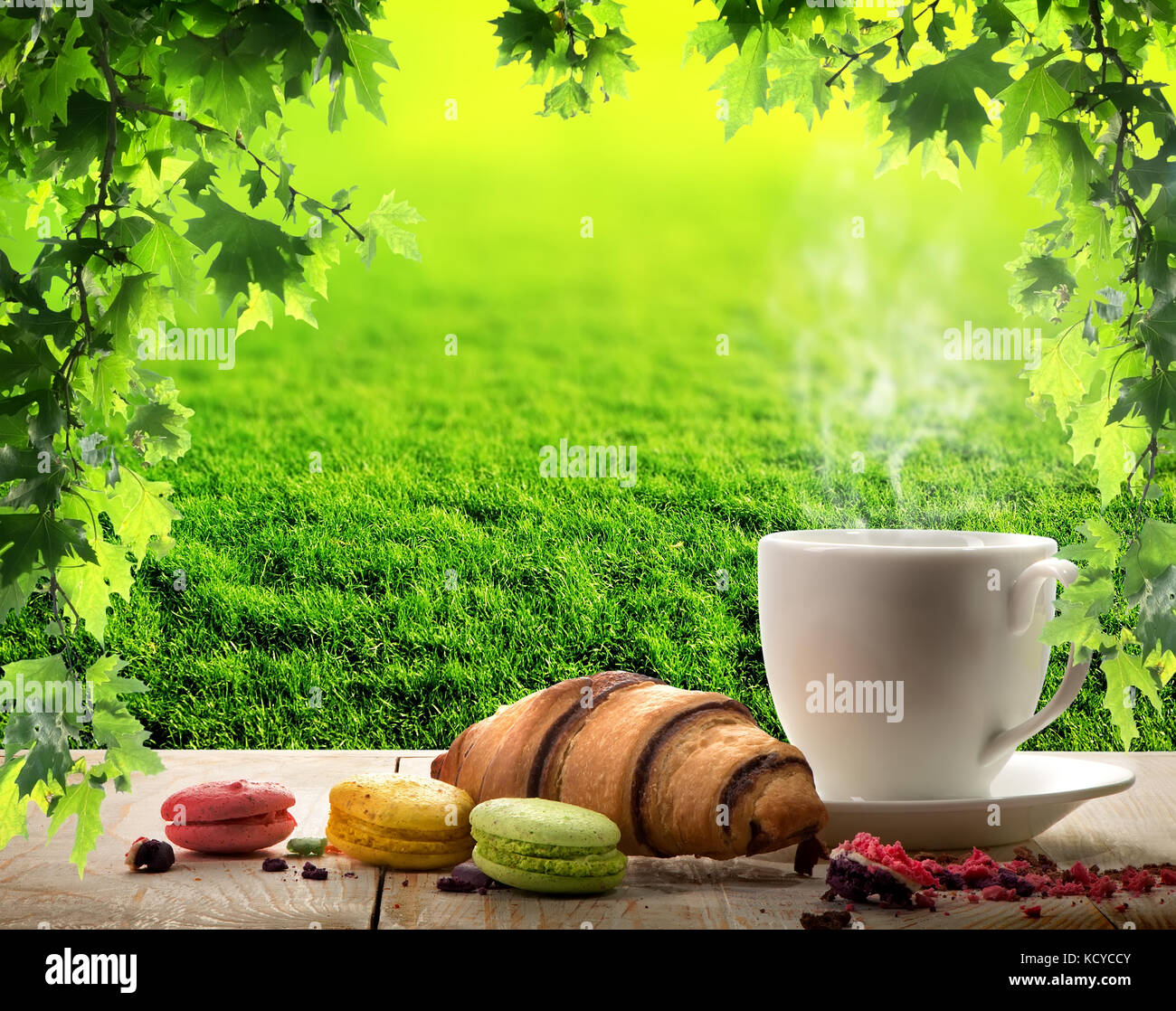 White cup coffee and sunny trees background Stock Photo - Alamy